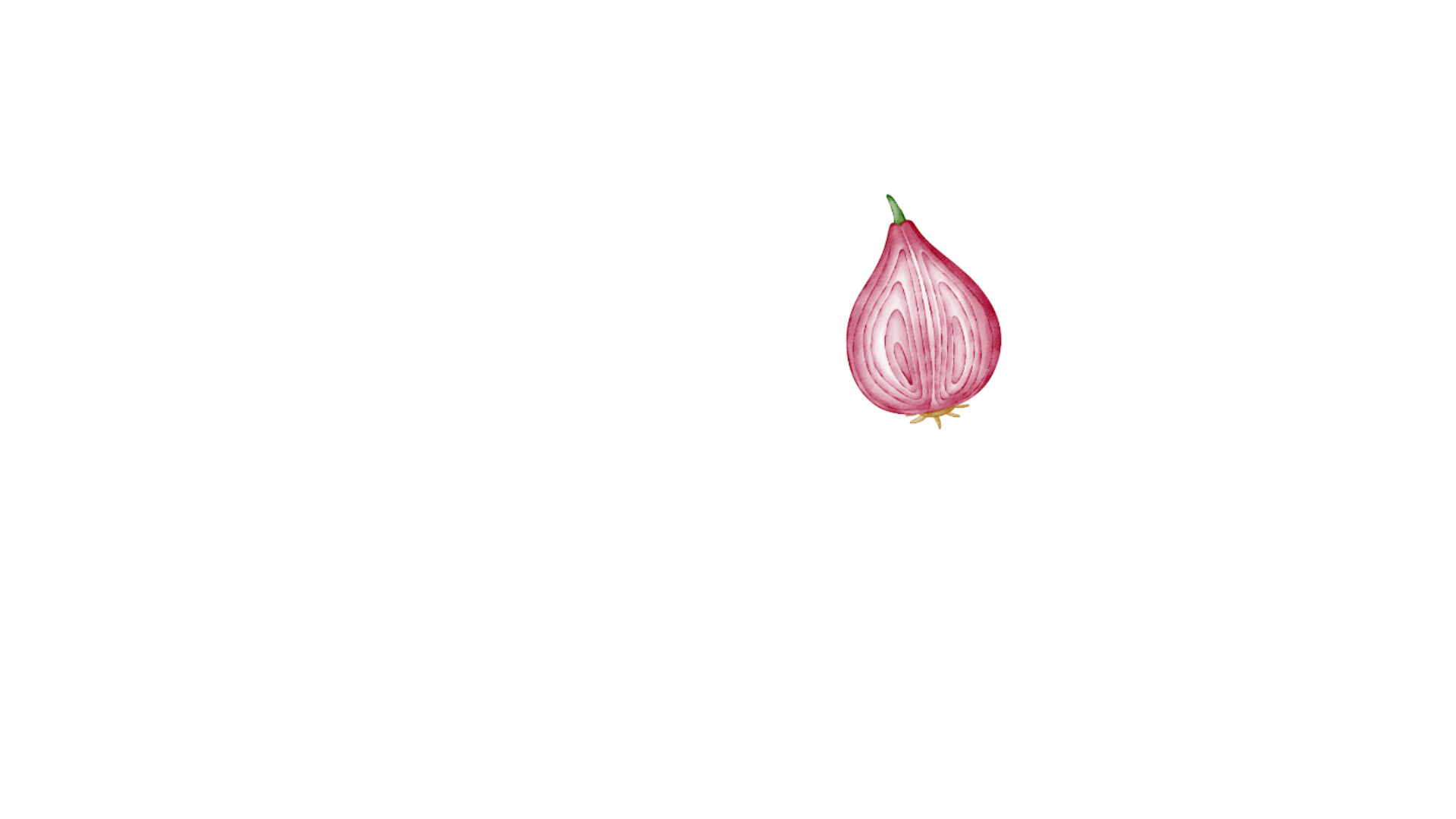 Shallots – Modern Indian Cuisine